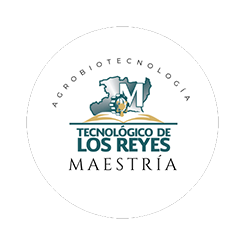 Maestría ITSLR